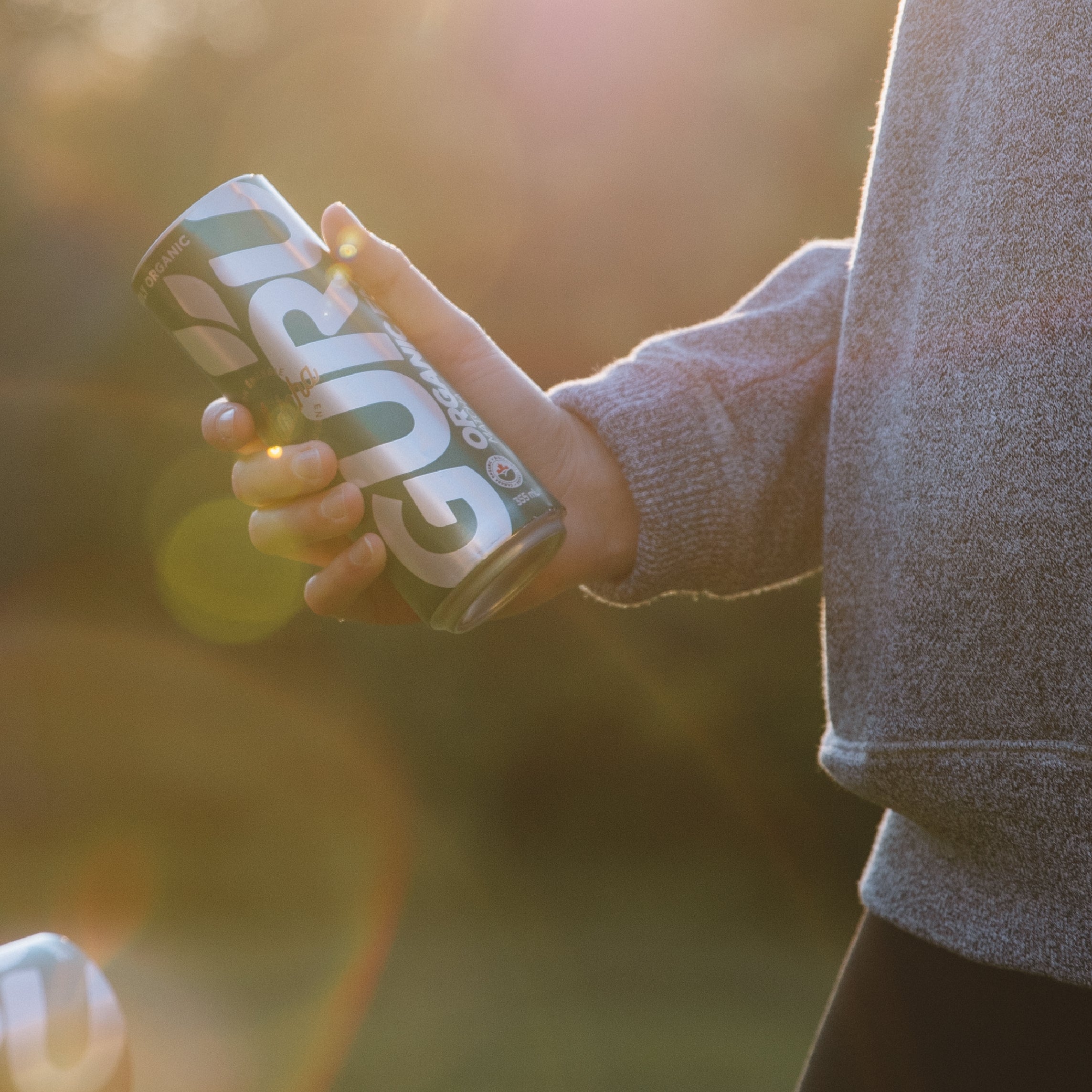 GURU Lemon Ginger – GURU ENERGY